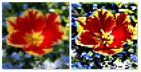 Image Convolution Playground Image Convolution Playground