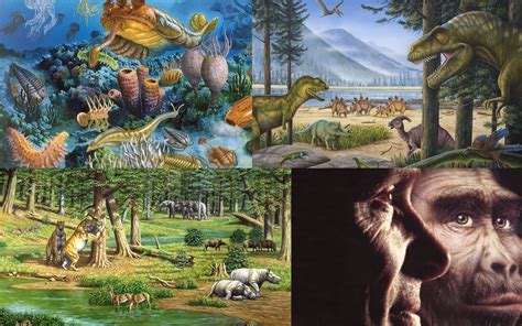 Eras Geologicas Storyboard By Violett Vrogue Co