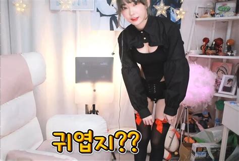 과거 트위치 니삭스 게시판 갤주였던 Qwer 마젠타 안구정화 라이브스코어 라이브맨 실시간 라이브스코어 토토사이트 추천 꽁머니 먹튀검증 커뮤니티 안전놀이터 추천