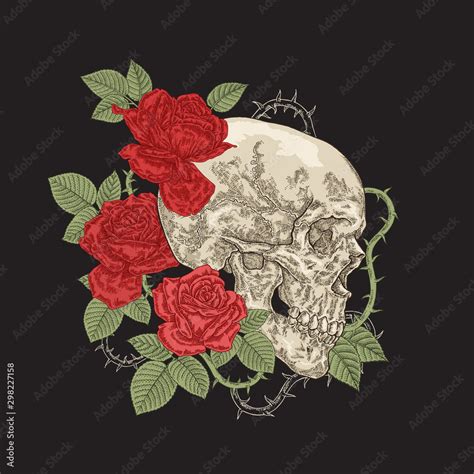 Human Skull With Red Roses Flowers Vector Illustration On Black