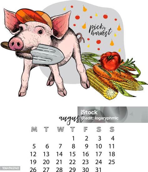 돼지와 함께 년 달력입니다 월간 일러스트입니다 손 견 모자와 야채 수확 돼지를 그려 8 월 여름입니다 포스터 귀여운 전단지 벽 배너 플래너 빈티지 컬러 초상화 벡터 2019