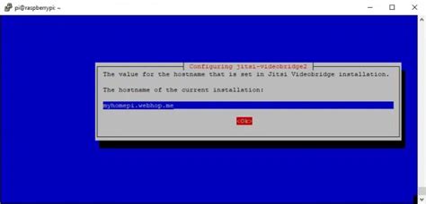 self host your web meetings with jitsi and raspberry pi