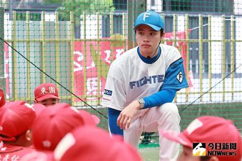 台灣的瑰寶！孫易磊受評火腿5大潛力新秀 「157公里火球」受矚目 棒球 運動 Nownews今日新聞