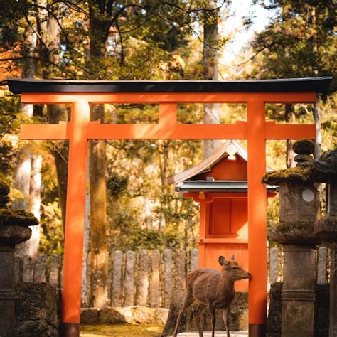 Premium Photo A Red Torii Gate Is In Front Of A Wooden Gate