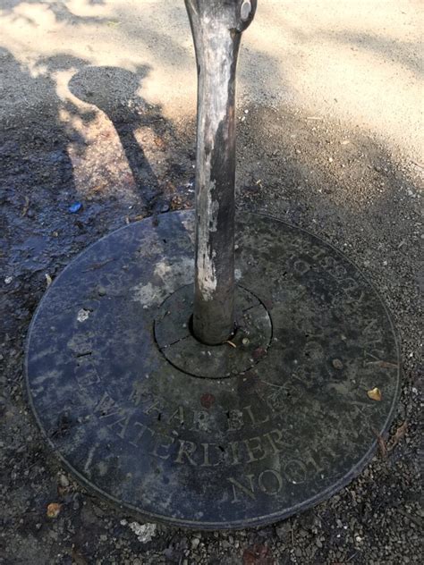 Waar Bleef De Zwaan Straatpoëzie