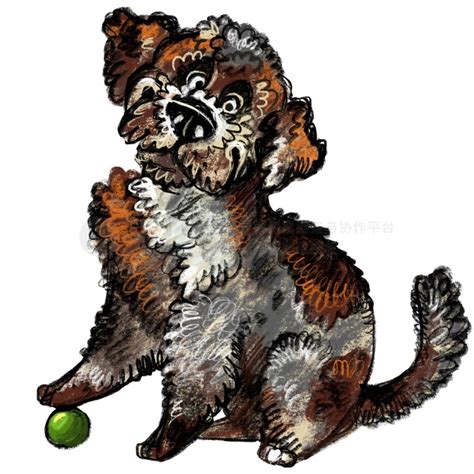 白色高清图片可爱有趣的卡通狗人物。 Lagotto Romagnolo 狗品种光栅插图 Isolatwd 在白色背景上。适用于印刷、设计、热