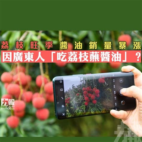 荔枝旺季醬油銷量暴漲 因廣東人「吃荔枝蘸醬油」？ 澳門力報官網