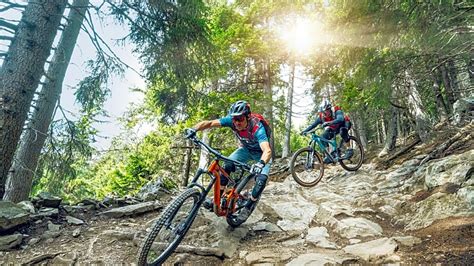 Mountainbike Kategorien im Überblick BIKE