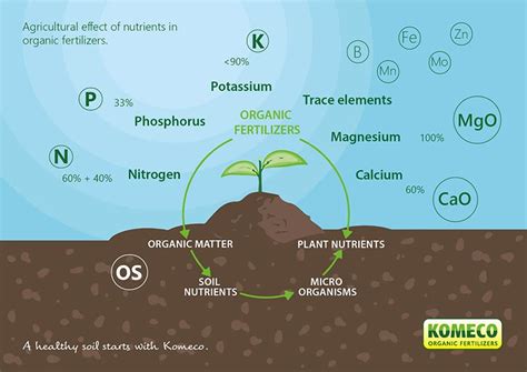 Organic Fertilizers Offer Nutrition For The Soil Komeco
