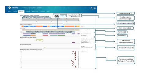 Protein Sequence Viewer — Interpro Documentation