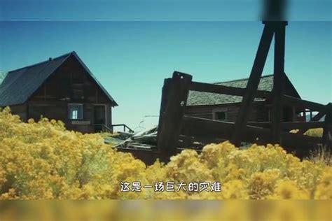 一万年后地球会变成什么样子？科学家推测种种描述，让人难以相信什么样子地球