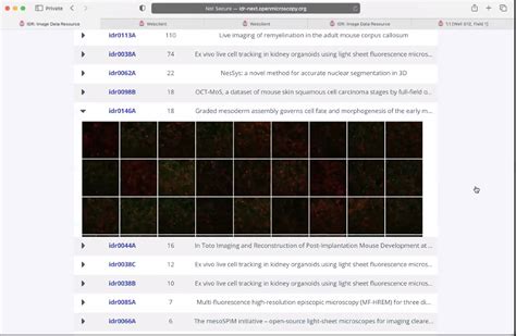 Bug Filter Images By Container Name · Issue 79 · Omeomerosearch