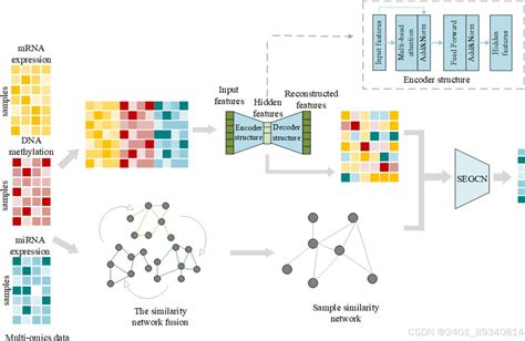 复杂疾病的多组学数据综合分析与生信复杂网络 多组学 Csdn博客