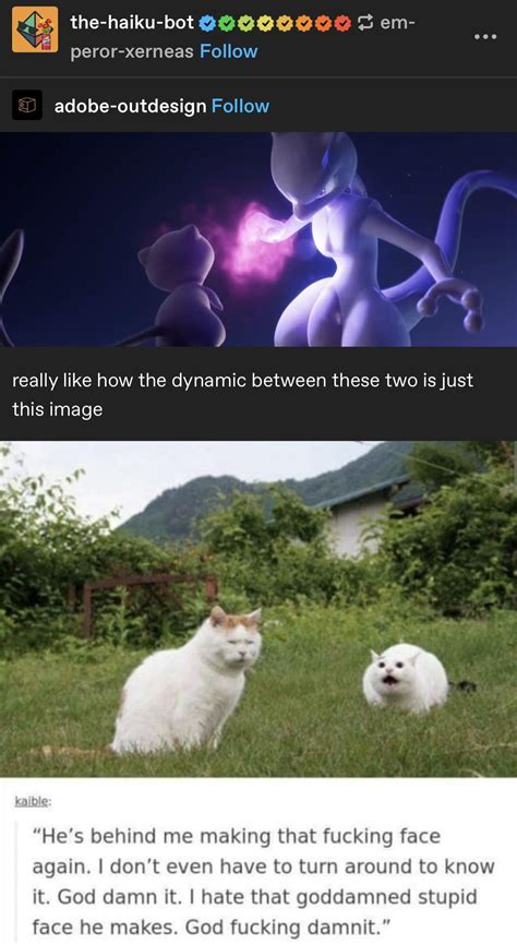 Pokemon Crab Rave R Curatedtumblr