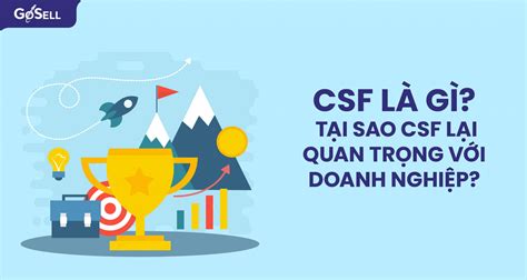 Csf Là Gì Tại Sao Csf Lại Quan Trọng Với Doanh Nghiệp Goacademy