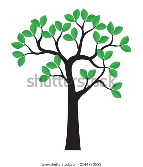 Green Tree Vector Outline Illustration Stock Vector Royalty Free Shutterstock