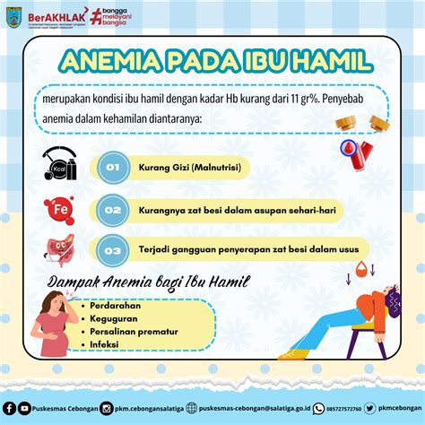 Anemia Pada Ibu Hamil Puskesmas Cebongan