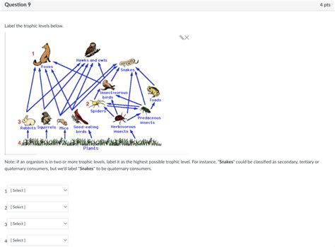 Solved Label The Trophic Levels Below Note If An Organism