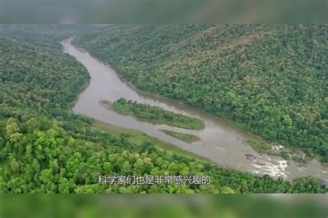 用了多年，科学家终于得知地球的水是怎么来的了，答案出乎意料地球答案