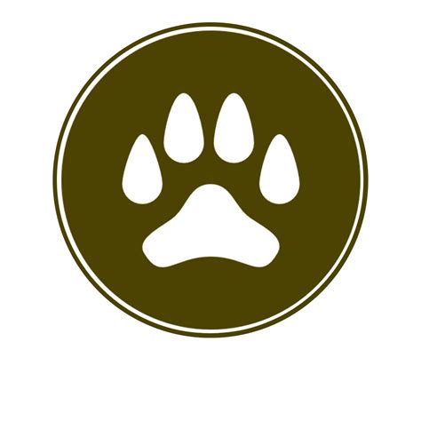 3 Days 2 Nights Safari From Zanzibar To Serengeti And Ngorongoro