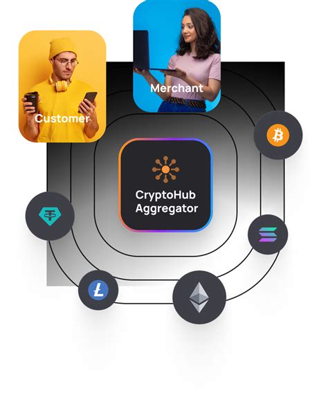 cryptocurrency payment system involve software development