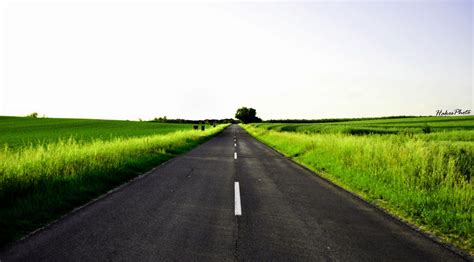 绿路壁纸