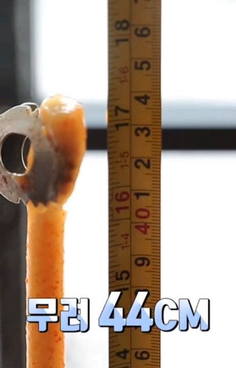 2020117금 네모세모 방송 전주 분식 효자동맛집 전주떡볶이 떡볶이그램 인생은 짧고 떡볶이는 길다