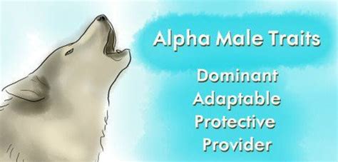 Handling Your Alpha Male Husband Pairedlife