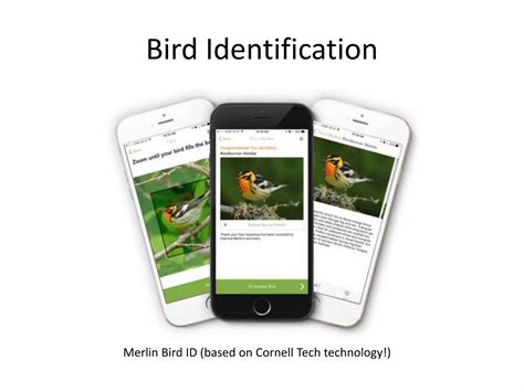 Computer Vision Introduction Pptx