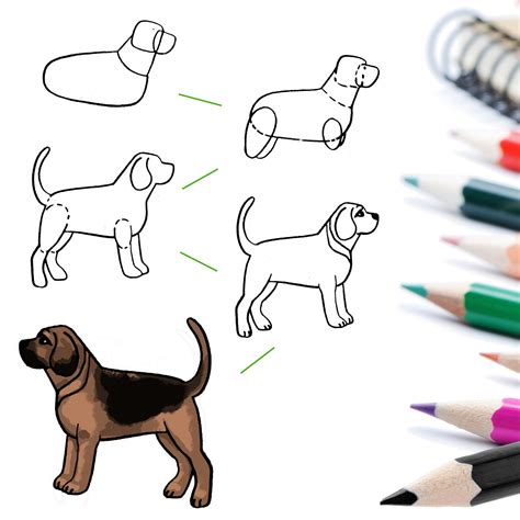 Пин на доске Drawing