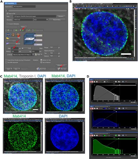 Acquiring Z Stack Image Next Step Of Appropriately Saturated Nucleus In