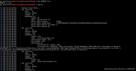 心脏滴血漏洞详解及利用 Heartbleed With Opensslopenssl漏洞 Msf利用 Csdn博客 心脏滴血漏洞详解及利用 Heartbleed With Opensslopenssl漏洞 Msf利用 Csdn博客