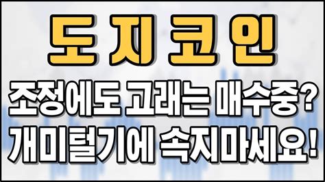 도지코인 조정에도 고래는 매수중 개미털기에 속지마세요 Youtube