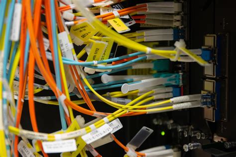 Past Babes CERN Babe Of Computing