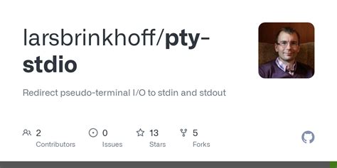 github larsbrinkhoff pty stdio redirect pseudo terminal i o to stdin