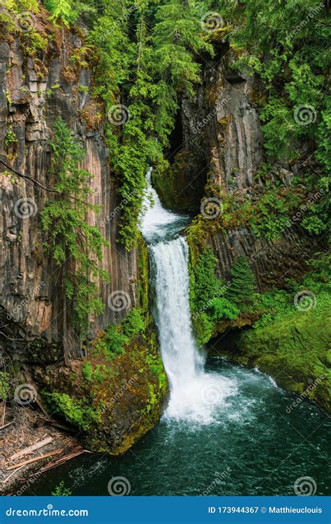 Toketee Falls North Umpqua National Forest Oregon Stock Image Image