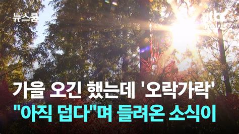가을 오긴 했는데 오락가락아직 덥다며 들려온 소식이 Jtbc 뉴스룸 Youtube