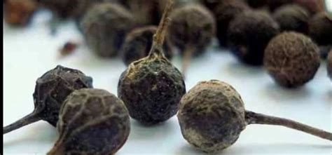 Kabab Chini Spice At Rs 1000 Kg Kebab Masala In Patna Id 2851606233333