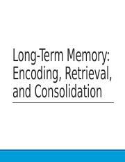 Mastering Long-Term Memory: Strategies for Encoding, Retrieval ...