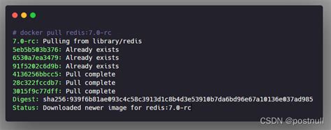 彻底搞懂docker镜像分层docker镜像的分层动图版 Csdn博客