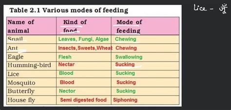 Table 2 1 Various Modes Of Feeding Begin{array}{l} Text { Name Of } Tex