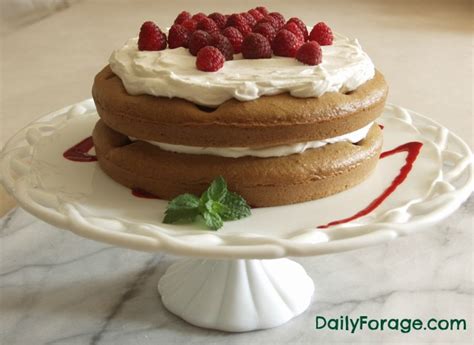 Raspberry Polka Dot Cake With Whipped Cream Topping