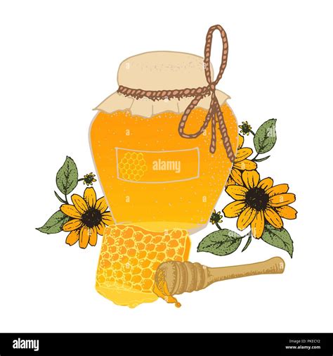 Le miel dans un pot de miel et des croquis Pot de miel naturel fleur et bâton vector