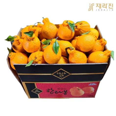 서귀포직송 고당도 한라봉 5kg 크기별모음2개구매시 추가증정실중량45kg 티몬
