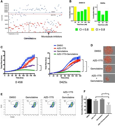 Gemcitabine Synergizes With Azd 1775 To Enhance Cell Death Of