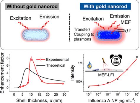 Plasmonic Approach To Fluorescence Enhancement Of Mesoporous Silica Coated Gold Nanorods For