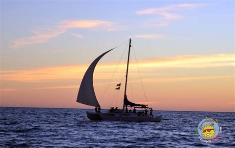 Puerto Penasco Sunset Cruise 60 Photos
