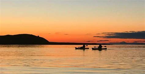 Iceland Midnight Sun Kayaking Adventure GetYourGuide