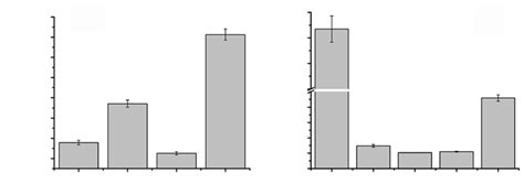 Comparative Antioxidant Activity A Total Antioxidant Activity By
