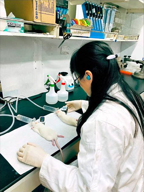 全球首度動物實驗！肺纖維化脂肪間質幹細胞治療 脂肪大量堆積 發炎風險高／陽明交大與榮總合作研究發現 提出警訊 自由電子報 Line Today